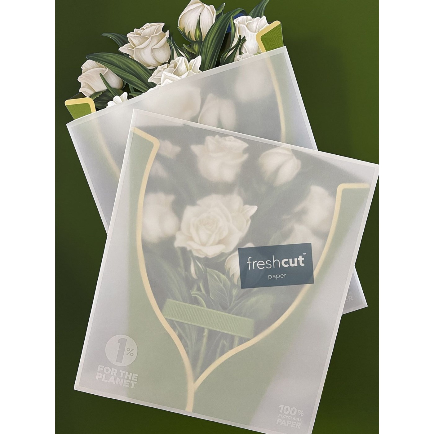 FRESHCUT white roses in envelope – This Little Gallery